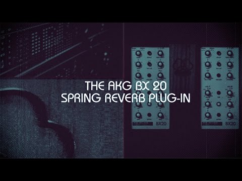 Universal Audio AKG BX 20 Spring Reverb - delamar