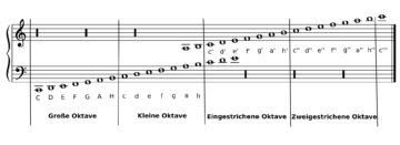 Noten lesen einfach gemacht: Alles zum Noten lernen ⋆ delamar.de