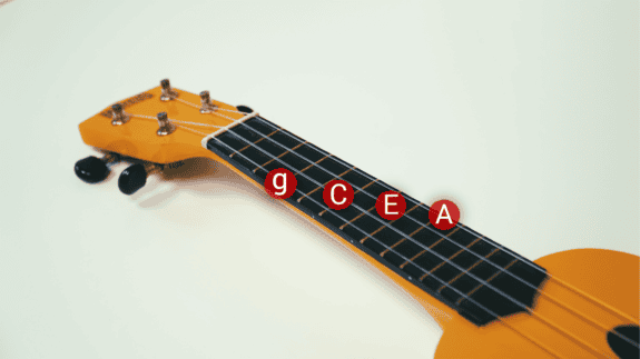 Ukulele stimmen einfach gemacht ⋆ delamar.de