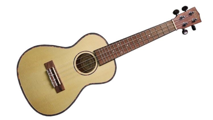 Saiteninstrumente: Übersicht, Definition & mehr ⋆ delamar.de