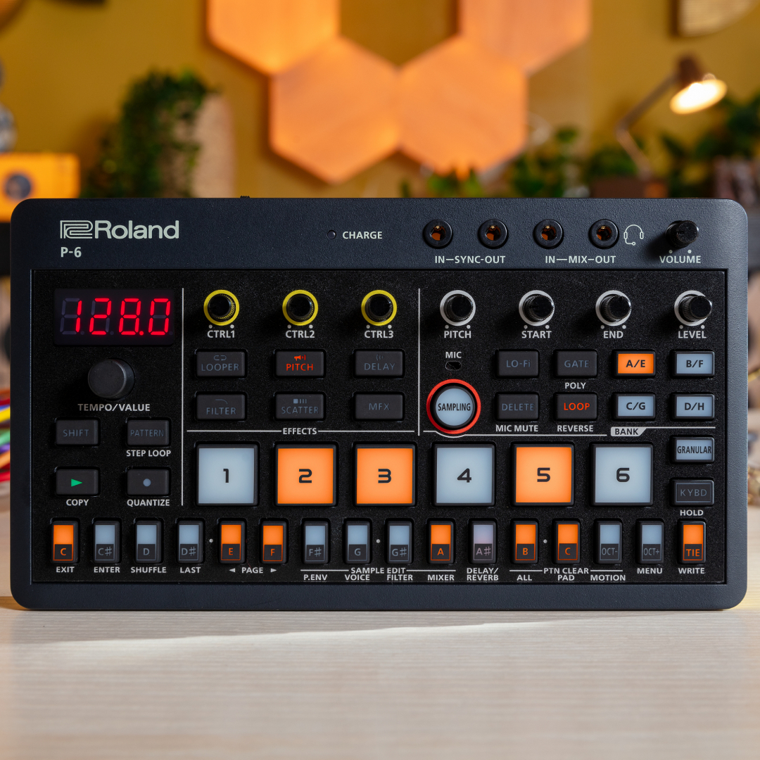 Roland P-6 Creative Sampler: Das perfekte Gadget für kreative Musiker ...